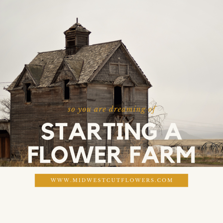 Starting a flower farm - midwestcutflowers